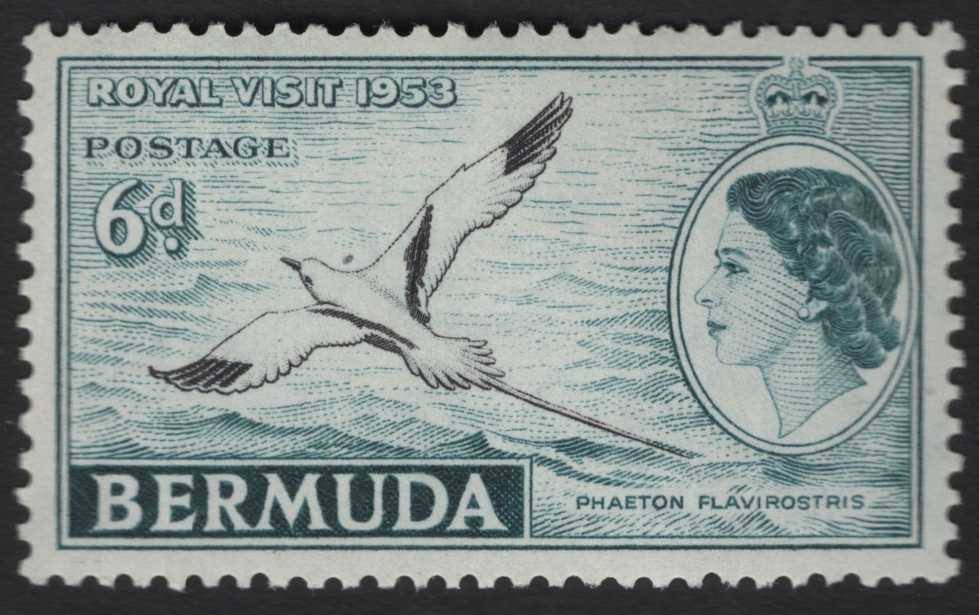 SCG9303 - 1953 Royal Visit – White-tailed Tropicbird, Bermuda (6d ...