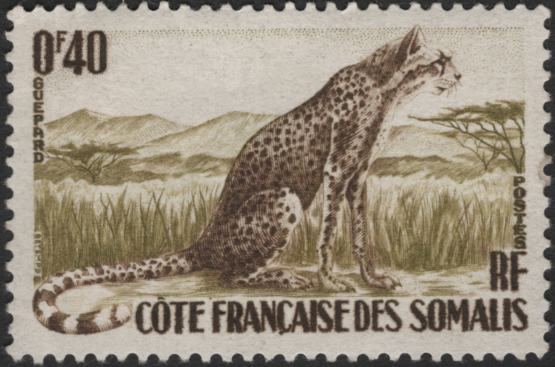 SCG3246 - 1950s French Somali Coast 0.40F Cheetah Stamp – Stamp and ...