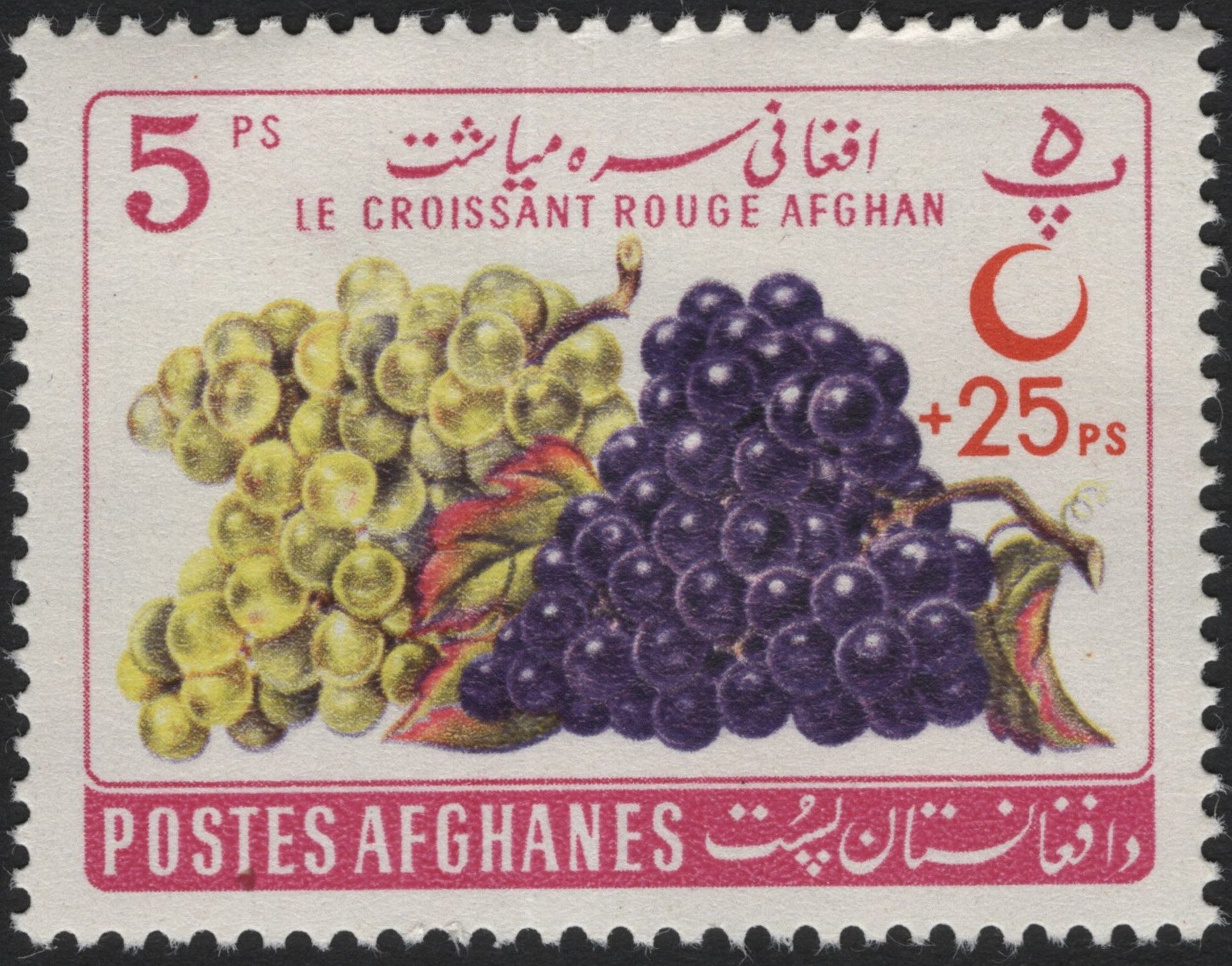 SCG4029 - Afghanistan 1960s Red Crescent Charity Stamp – Grapes Design ...