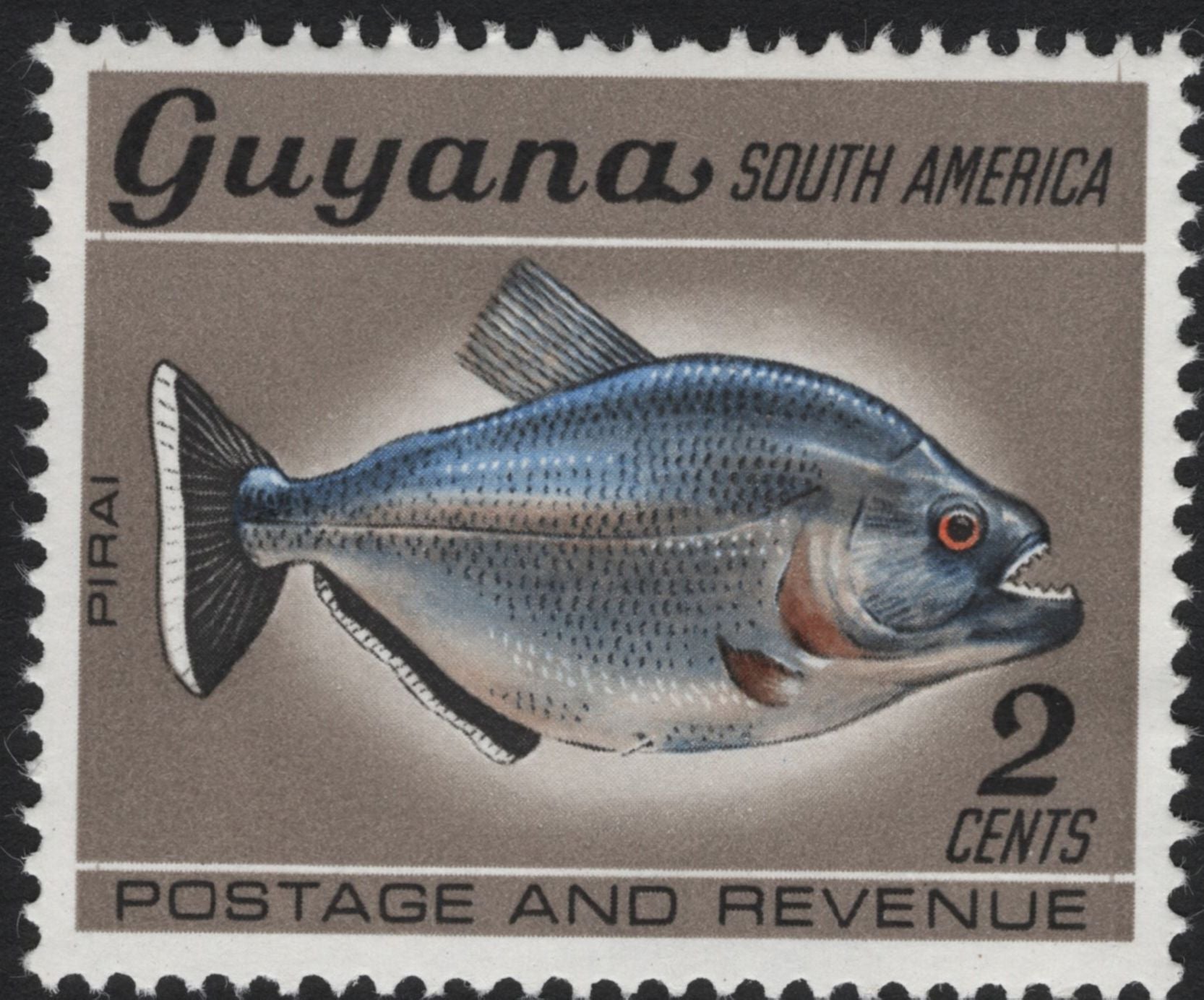 SCG5538 - Guyana 1960s Native Fish Definitives – Sunfish, Pirai & Luku ...