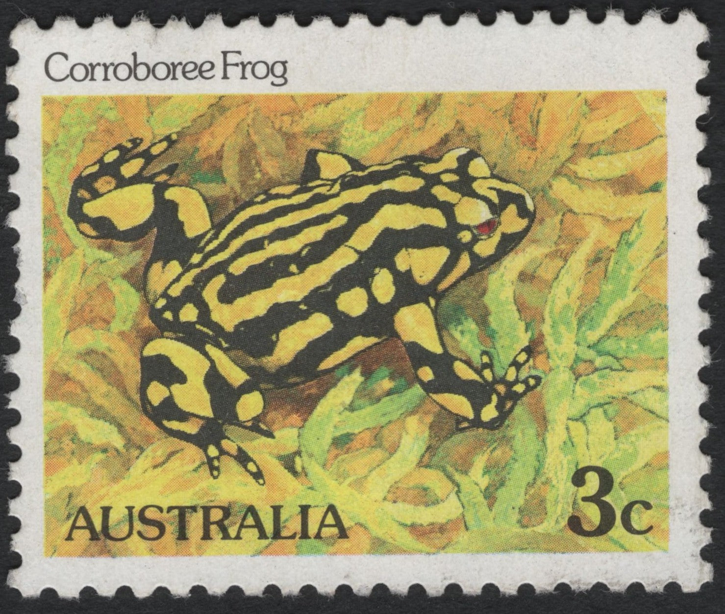 SCG10506 - 🇦🇺 Australia – Corroboree Frog 3c (Wildlife Series) – Stamp ...