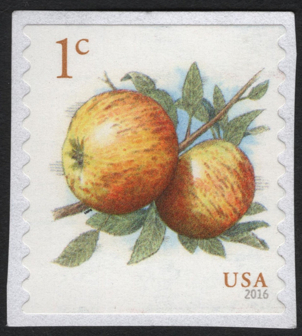 SCG10773 - USA 2016 – 1¢ Apples Definitive Stamp – Stamp and Cover Galaxy