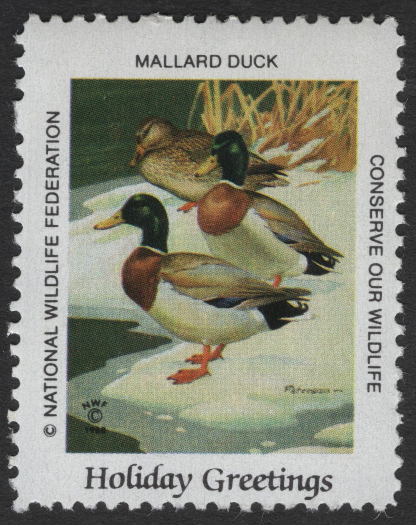 SCG12005 - Mallard Duck – Holiday Greetings Wildlife Stamp – Stamp and ...