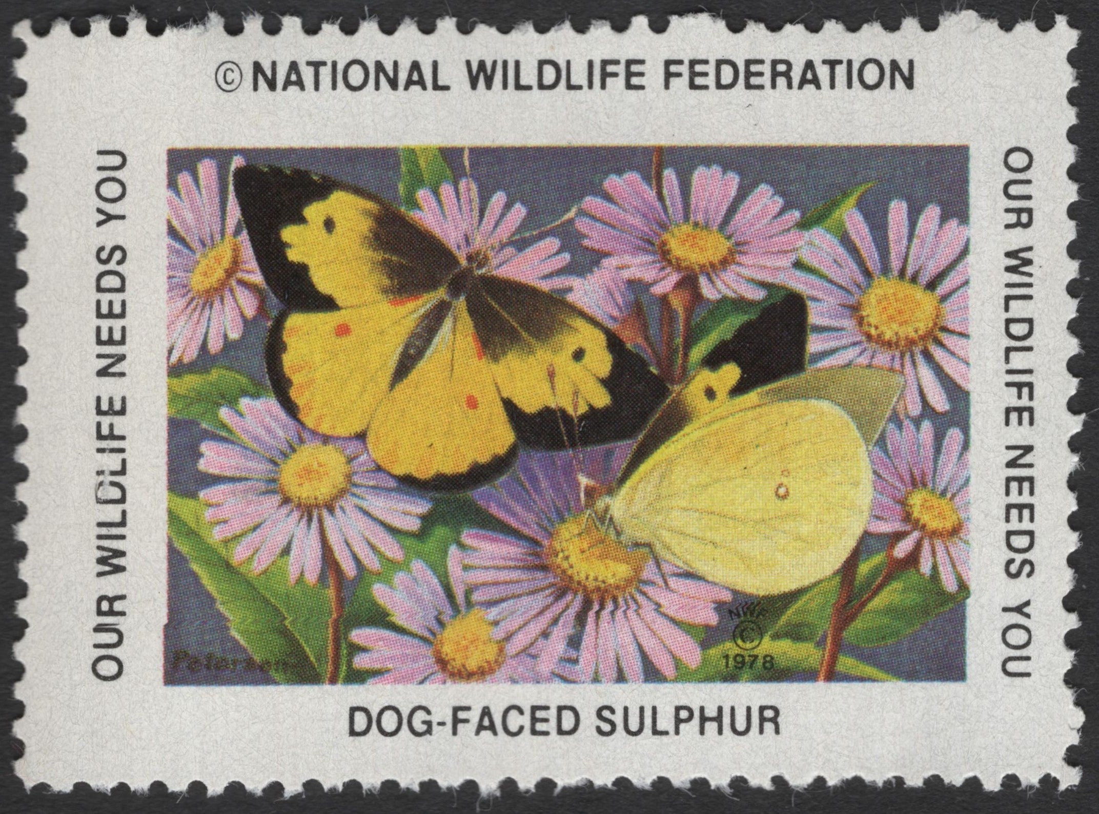 SCG12083 - United States 1978 “Dog-Faced Sulphur” Wildlife Conservatio ...