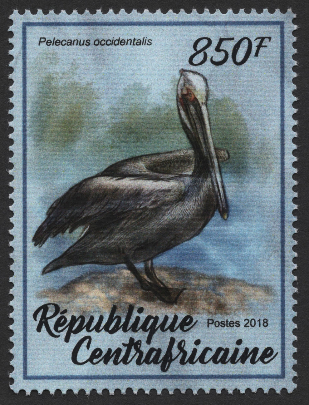 SCG510 - Central African Republic 2018 - Brown Pelican Stamp – Stamp ...