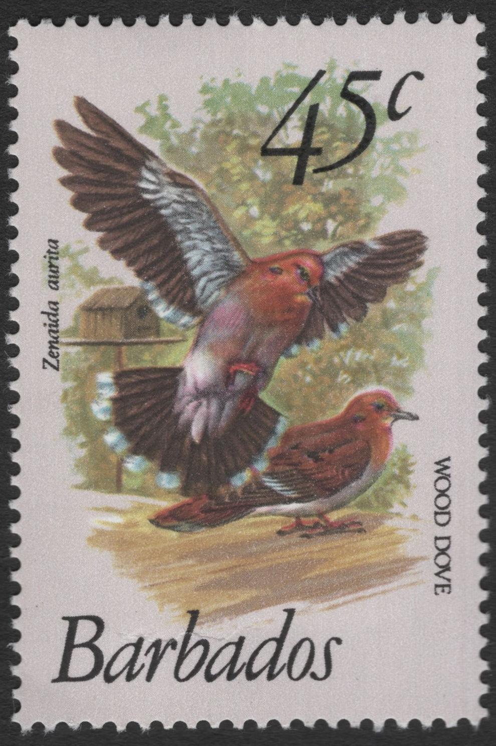 SCG11702 - Barbados 45c Wood Dove (Zenaida aurita) Wildlife Stamp ...