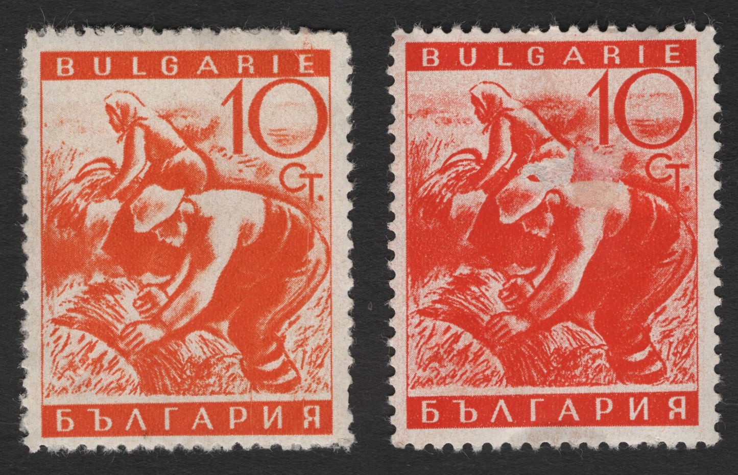 SCG11984 - Bulgaria Agricultural Worker – Wheat Harvest (10 Stotinki ...